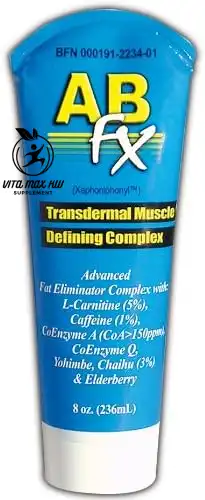 Body FX لتحسين تعريف العضلات وتعزيز فقدان الدهون | فيتا ماكس للمكملات ...